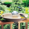 ® Solar Water Wiggler® | Solar Powered Bird Bath Water Circulator ...