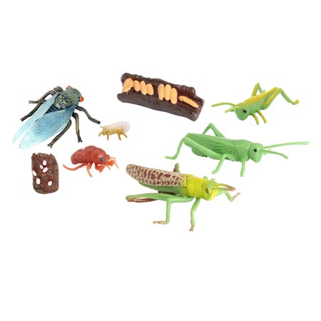 Kids Insect Growth Playset,Animal Growth Cycle Teaching Aids Classroom ...