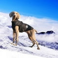 2026 New Furry King Dog Winter Coat With Harness,Furryking 3 In 1 ...