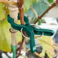 Syrinx Garden Secured Plastic Plant Clip - Upgraded for Climbing Plants ...