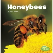 Buzzy Bee (Board Book) - Walmart.com