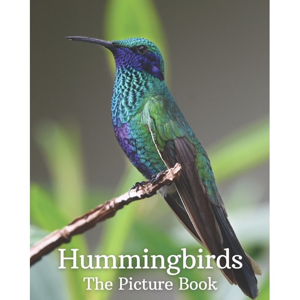 Hummingbirds : The Picture Book of Hummingbirds Great Gift for ...