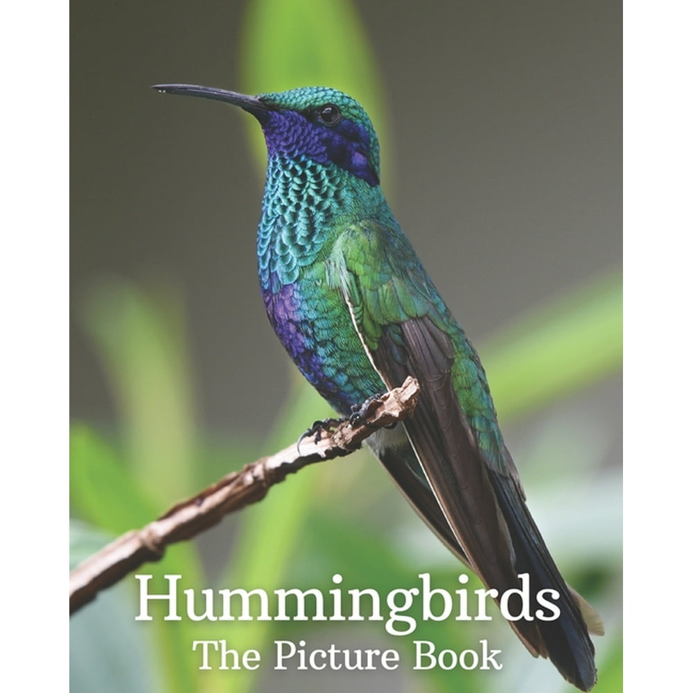 Hummingbirds : The Picture Book of Hummingbirds Great Gift for ...