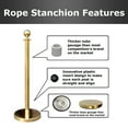 VIP Crowd Control, 6 Gold Crown Rope Stanchions + 4 Red Velour Ropes ...