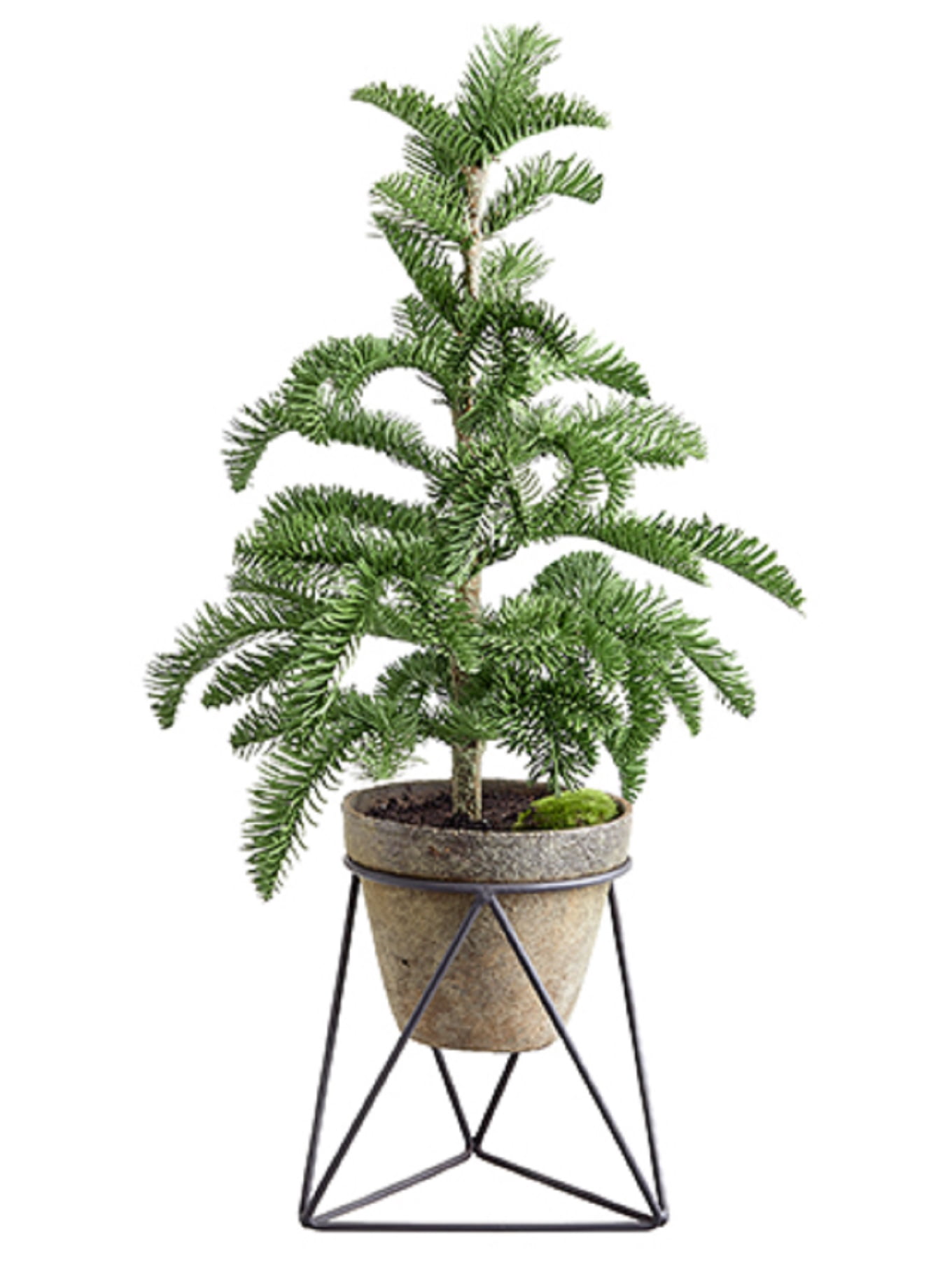 24'' Pine Tree in Mid-Century Modern Planter - Walmart.com