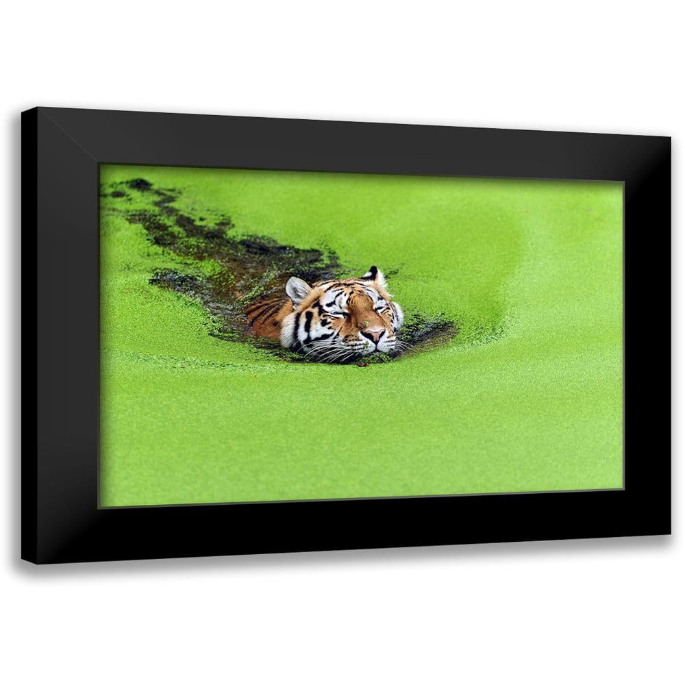 Keller 24x17 Black Modern Framed Museum Art Print Titled - Relaxation ...