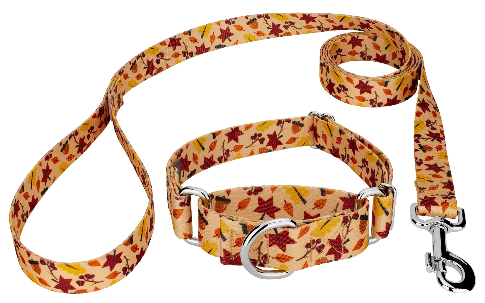 Country Brook Petz® Fall Foliage Martingale Dog Collar and Leash, Extra ...