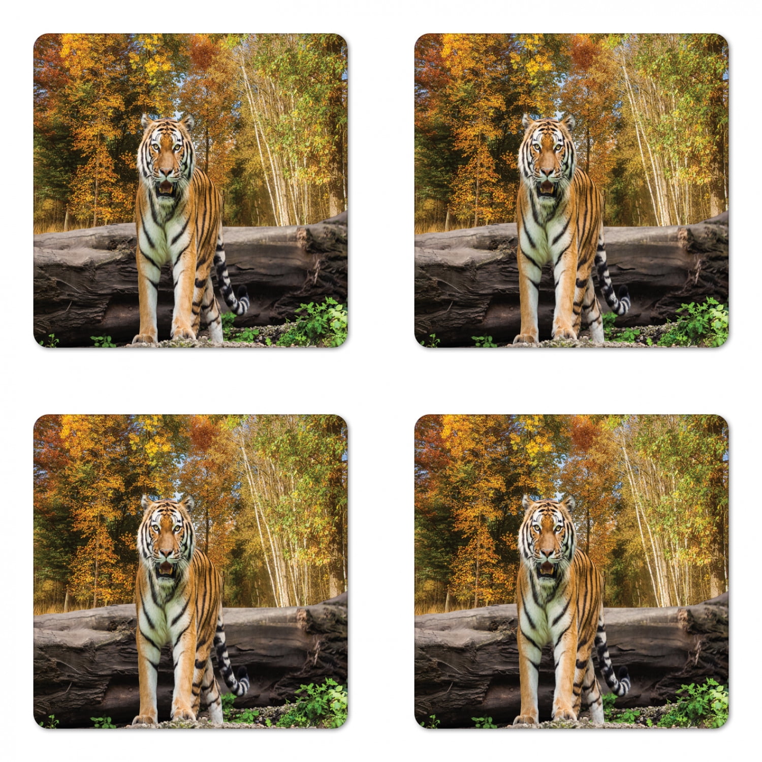 Safari Coaster Set of 4, Tiger in the Forest Standing and Gazing at the ...