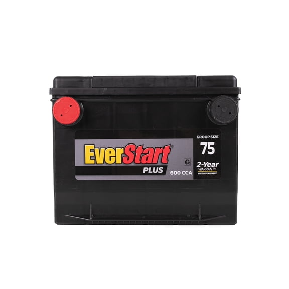 Free Shipping! EverStart Lead Acid Automotive Battery Group Size 124R ...