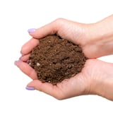 ⭐ Gardenera's Premium Lime Soil Mix - Fast-Draining Potting Soil for ...