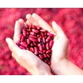 Red Kidney Bean Seeds for Planting - 30 Seeds - Easy to Grow, Very ...