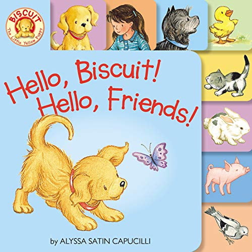 Biscuit Friend Book