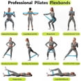 5-Pack Resistance Bands Set for Working Out, Strength , Stretching ...