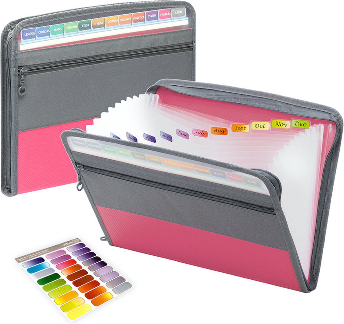 Project Folder - A4 - Folding File Folder with Tabs - 13 Compartments ...