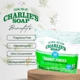 Charlie’s Soap Laundry Powder (50 Loads, 1 Pack) Hypoallergenic Deep ...