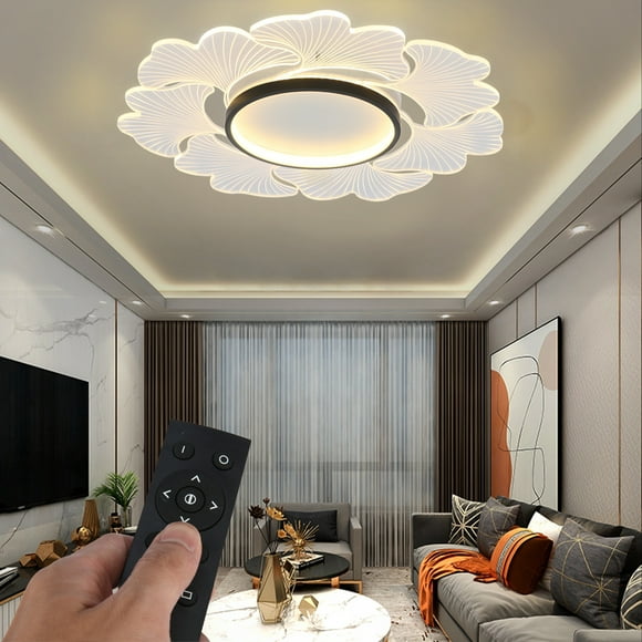 Remote Controlled Ceiling Light Fixture