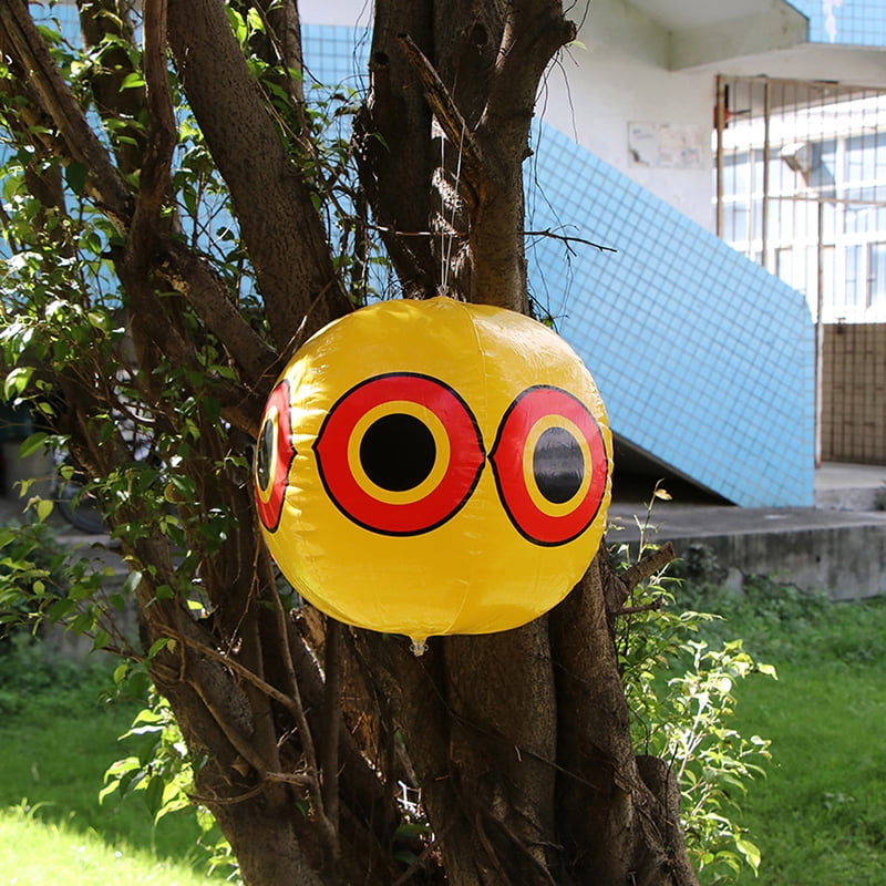 Inflatable Scare Eye Balloons - Bird Repeller and Nepal | Ubuy