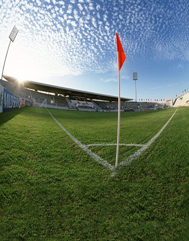 ABPHOTO Polyester Sports Turf Photography Backdrops Photo Props Studio ...