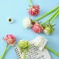 3 PCS Cute Rose Flower Gel Pen Refillable Pen Halloween/Christmas ...