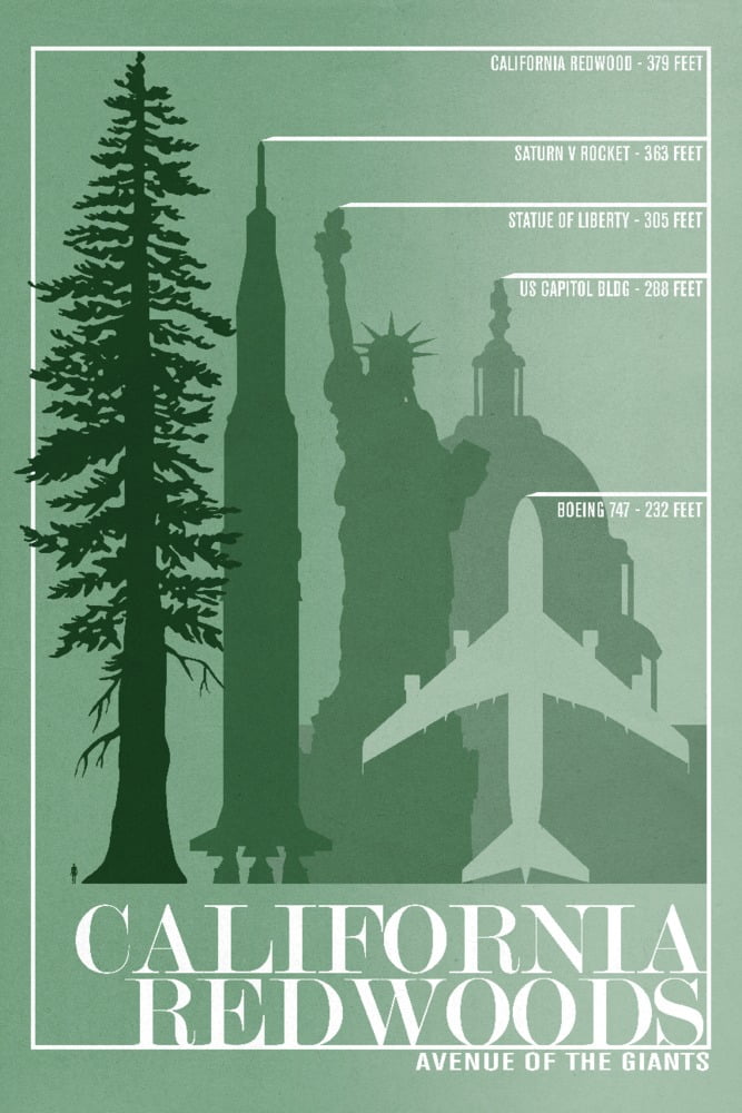 California Redwoods, Avenue of the Giants, Redwood Relative Sizes ...