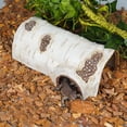 Reptile Hideout Resin Aquarium Decorations for Small Fish, Lizard ...