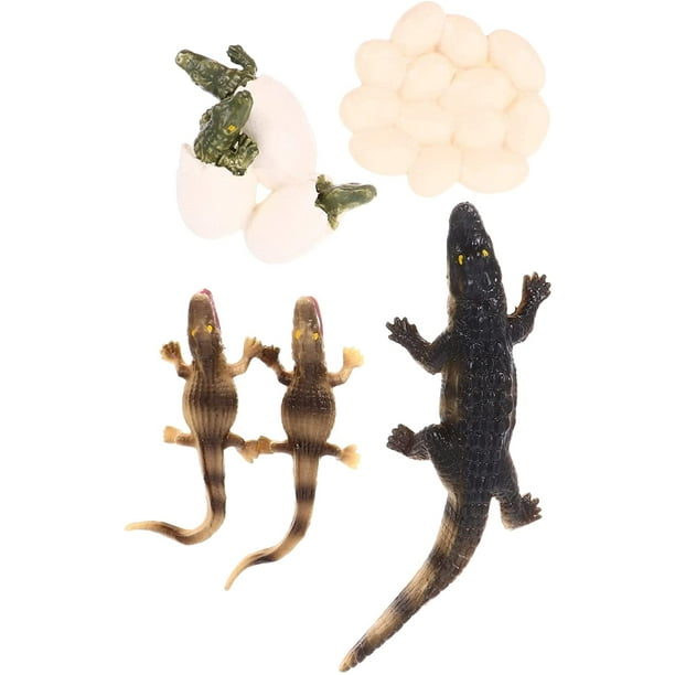 1 Set Mini Sea Animal Life Cycle Figurines of Crocodile Fish Biology ...