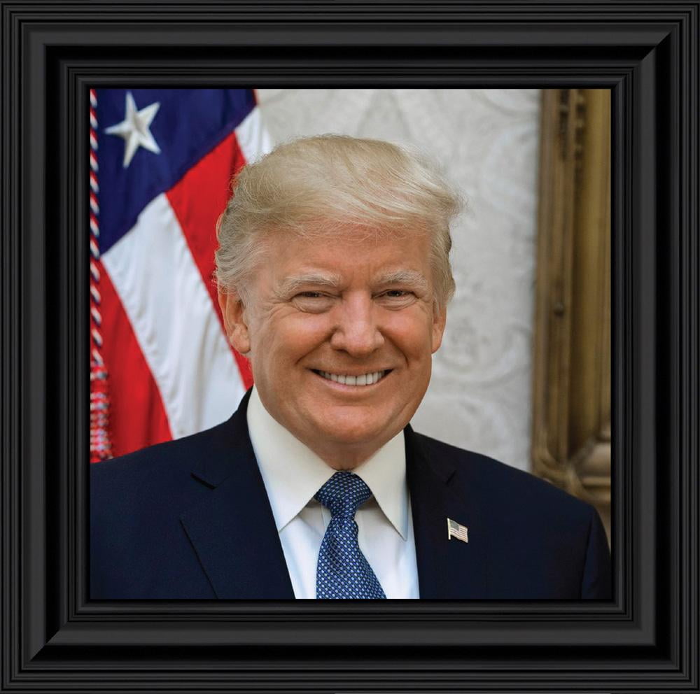 Donald Trump Official Framed Presidential Portrait, 10x10 8755 ...