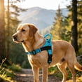Chest Strap Harness for Medium to Large Dogs with Lightweight Design ...