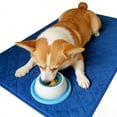Lick Sphere - Canine Anxiety Relief Bowl with Rotating Slow Feeder Ball ...