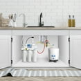 APEC TANK-3 3 Gallon Residential Pre-pressurized Reverse Osmosis Water Storage Tank - Walmart.com