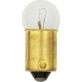 Sylvania 53BP 2 Count G-3.5 Mini Incandescent Bulb - Walmart.com