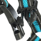 Blue Frog 1X Track N Guard GPS Message Ready & Built-In I.D. Tag Dog ...