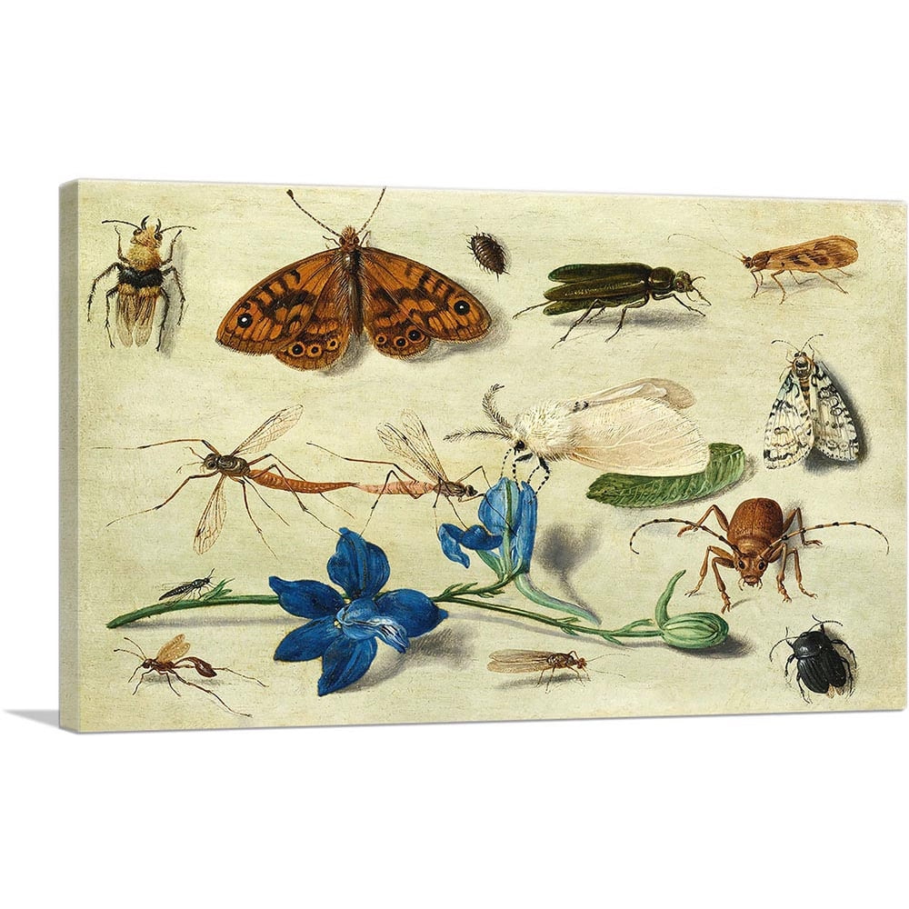 ARTCANVAS Still Life Of Moths Insects And a Parma Violet Canvas Art ...