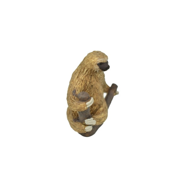 Sloth Two-Toed, Realistic Small Toy Model Plastic Replica Rainforest ...