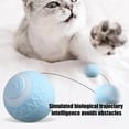 Wyzesi Rotating Toy Motion Interactive Cat Toy | Automatic Rolling Dog ...