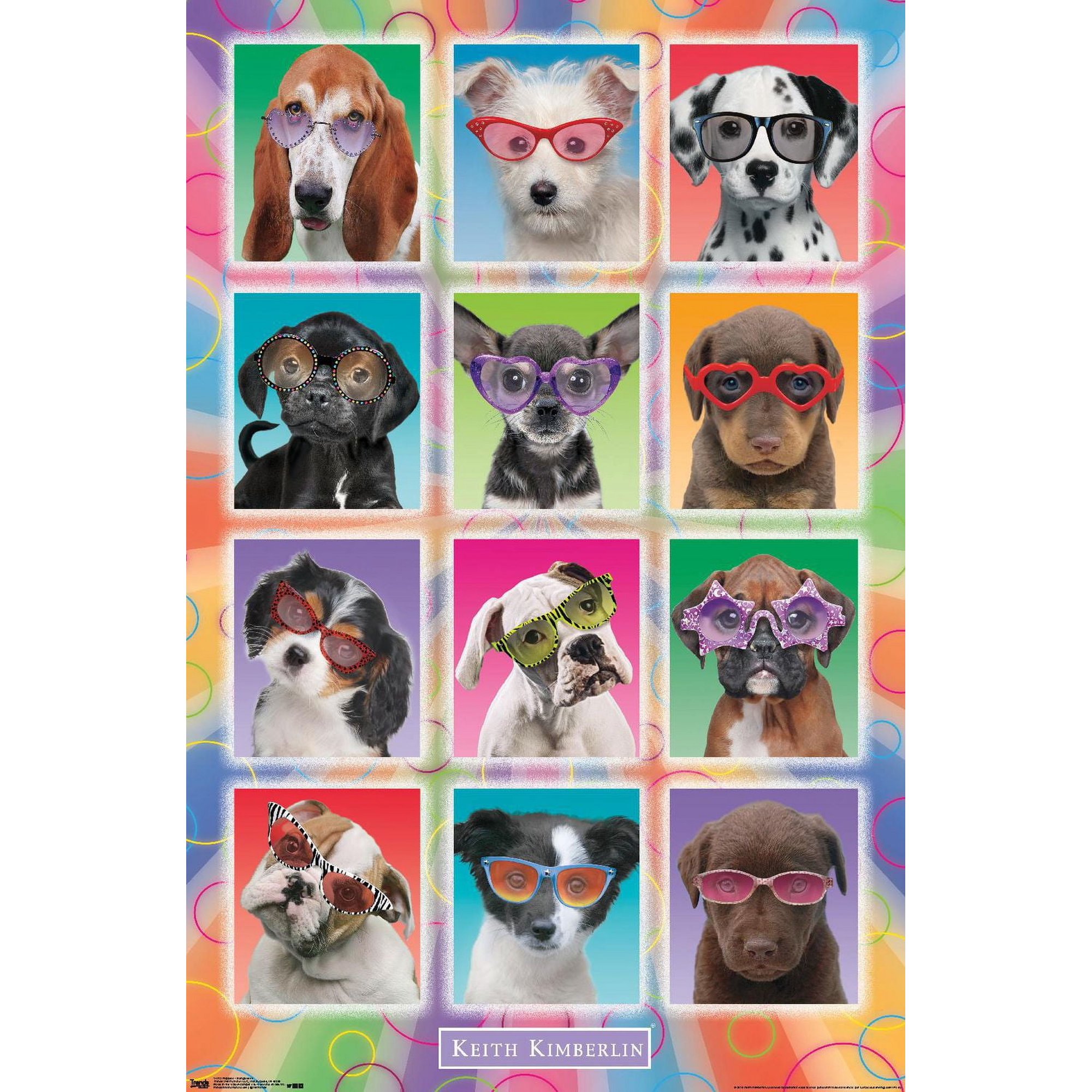 Click here for Trends International Keith Kimberlin - Puppies - S... prices