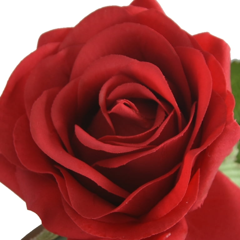 Beauty And The Beast Enchanted Rose Prop