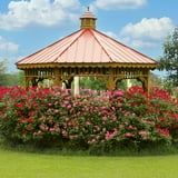 National Plant Network 1 gal. 2-N-1 Freedom Rose with Pink and Red ...