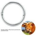 Cattle Nose Cattle Nose , Cow Nose Clip, Cow Nose Metal Nose Spring ...