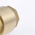 Brass Coupler Inline Check Valve Anti Back Flow for Fuel Hose Backflow ...