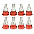 TN LAB Erlenmeyer Conical Flask Family - Walmart.com