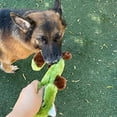 5 Pack Stuffingless Dog Squeaky Toys Dog Toy w/Durable Liner No ...