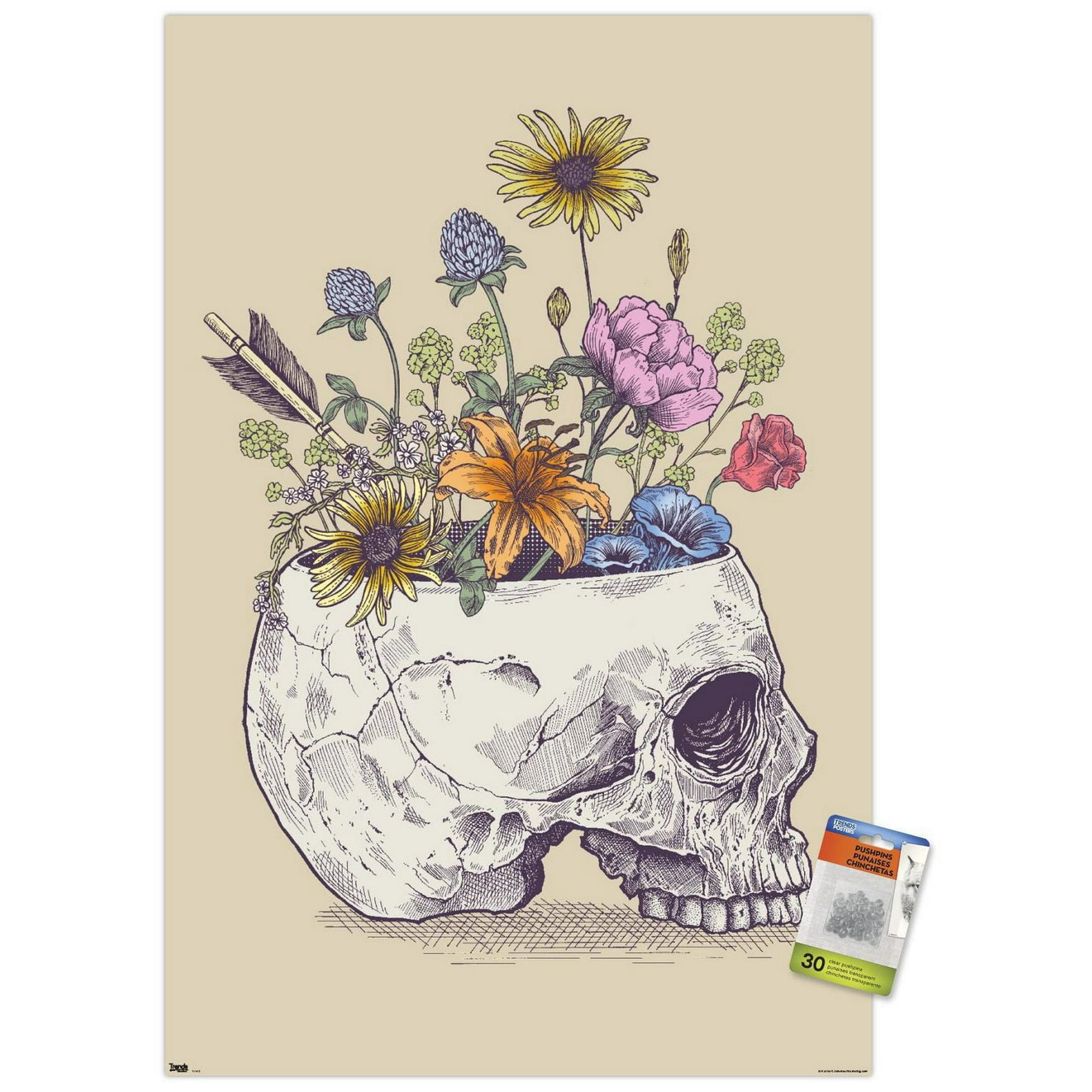 Click here for Trends International Rachel Caldwell - Flower Skul... prices