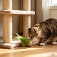 Cat Scratcher Board for Indoor Cats with Sisal Stress Interactive Toy ...