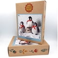 Baby Penguins from Felt Craft Kit BBPEN3F - Walmart.com