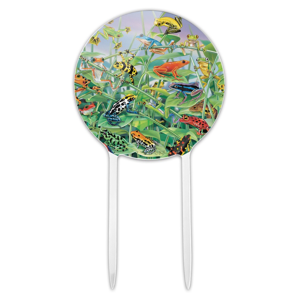 Acrylic Colorful Rainforest Tree Frogs Just Hanging Around Cake Topper ...