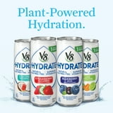 V8 +Hydrate Plant-Based Hydrating Beverage, Coconut Watermelon, 8 oz ...