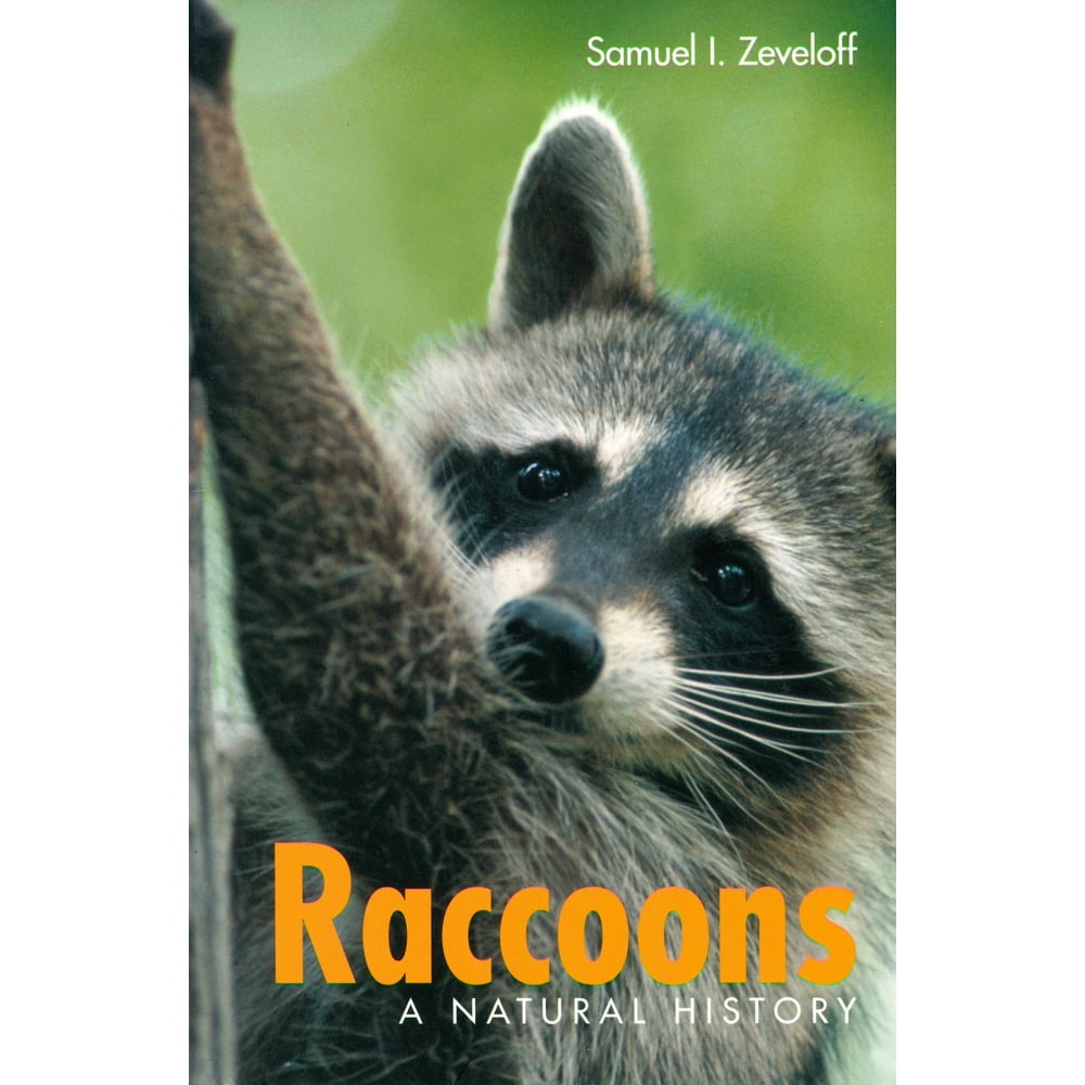 Raccoons : A Natural History (Paperback) - Walmart.com - Walmart.com