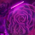 Special Savings Led Grow Lights For Indoor Plants Full Plant Light