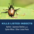 BioAdvanced 3-In-1 Insect, Disease & Plant Mite Control, Concentrate II ...
